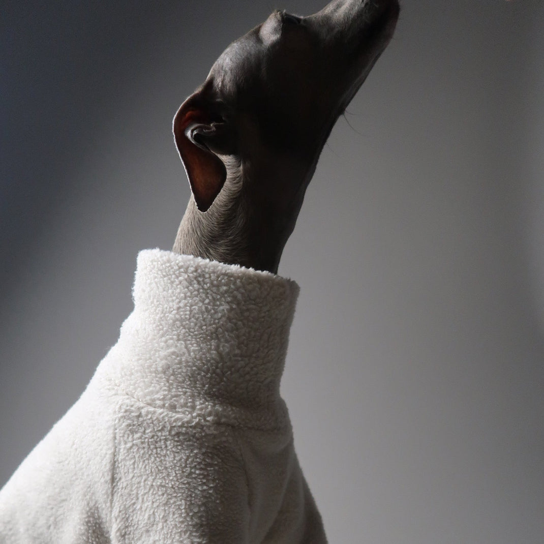 The Hound Edit | Italian Greyhound Clothing | Jumpers & Coats